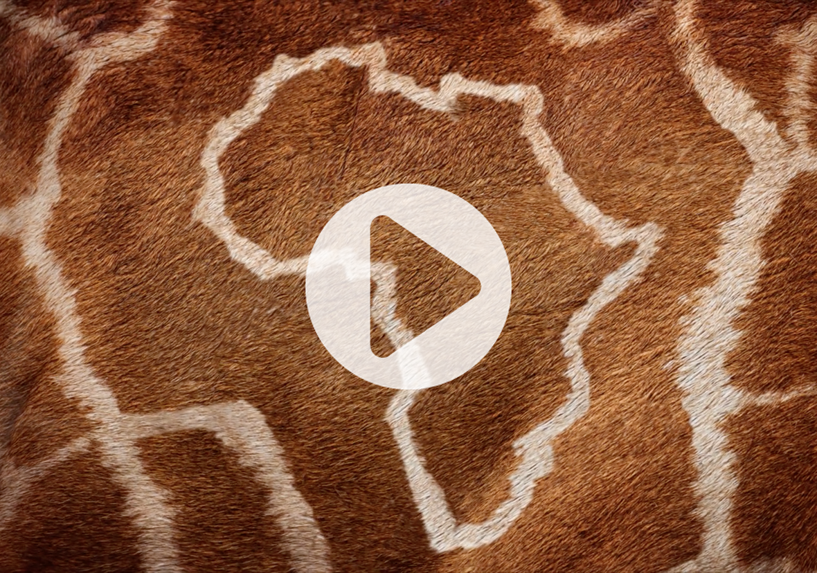 African Overlook Commercial - ES Holt Companies